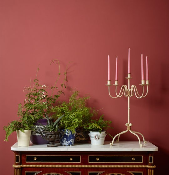 Pompadour - Edward Bulmer Natural Paint