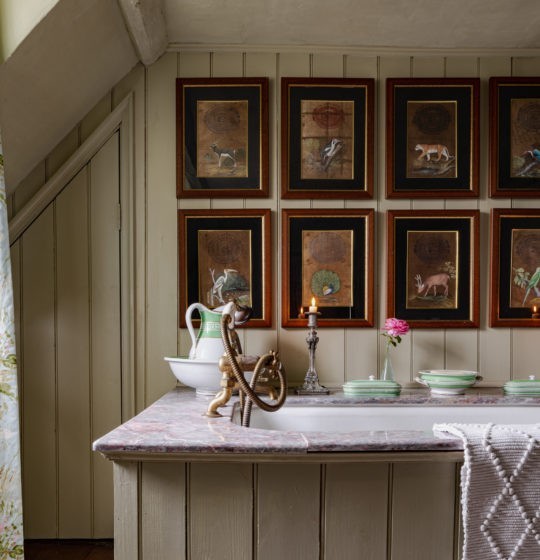 Eau de Nile - Edward Bulmer Natural Paint