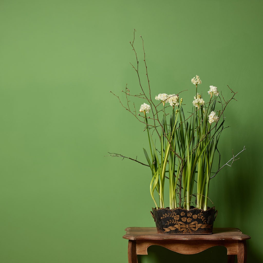 Pioneering Plant Based Paint - Edward Bulmer Natural Paint