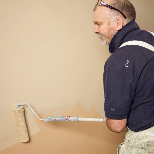 How to Paint onto New Plaster - Edward Bulmer Natural Paint