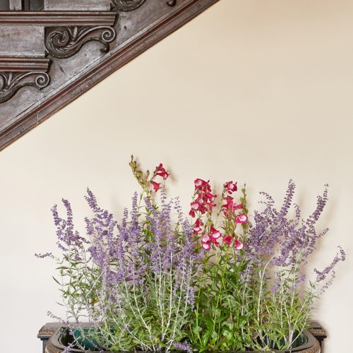 Delivery & Returns - Edward Bulmer Natural Paint