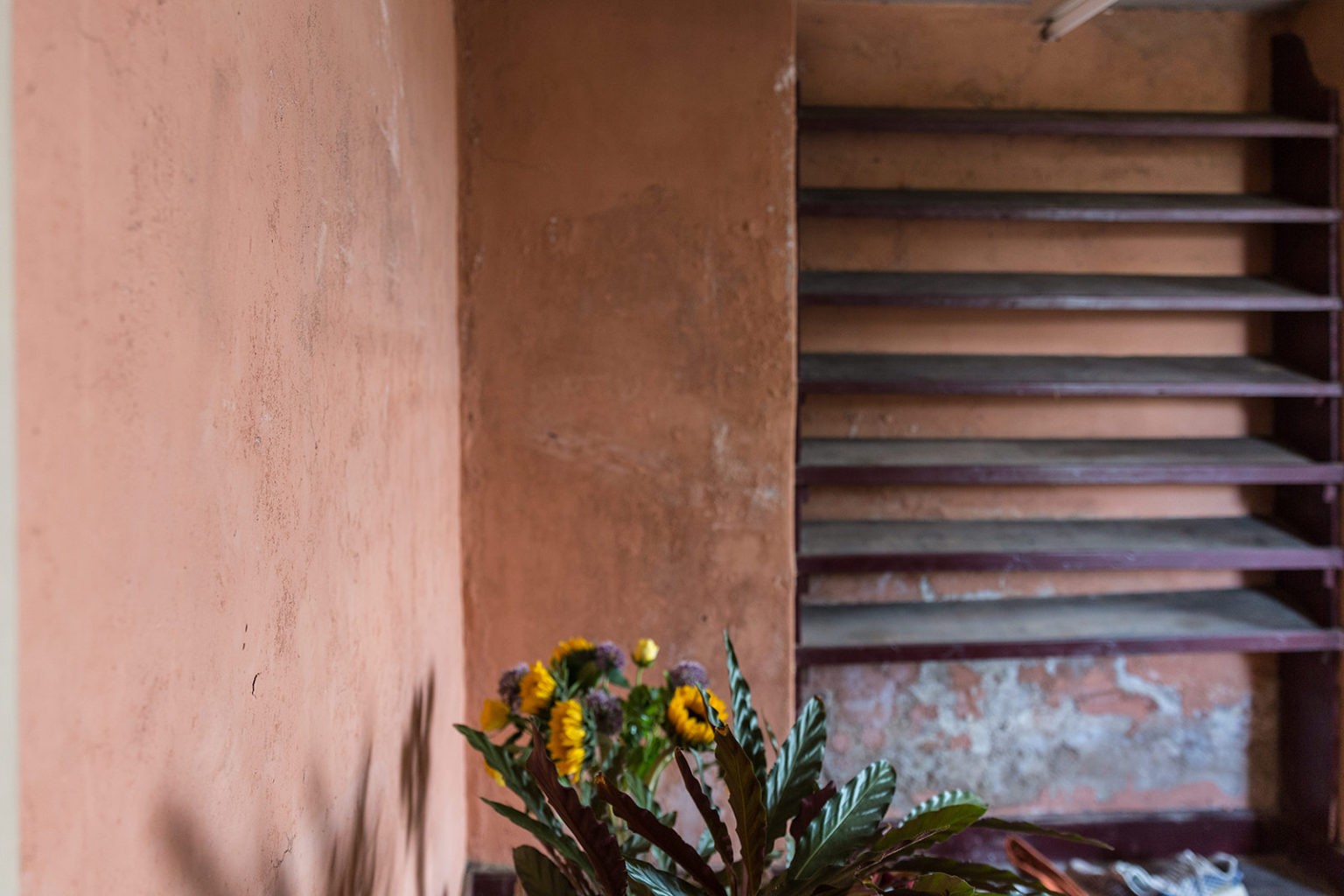 Colour Consultancy Case Study With Colour Expert Emma Bulmer - Edward ...